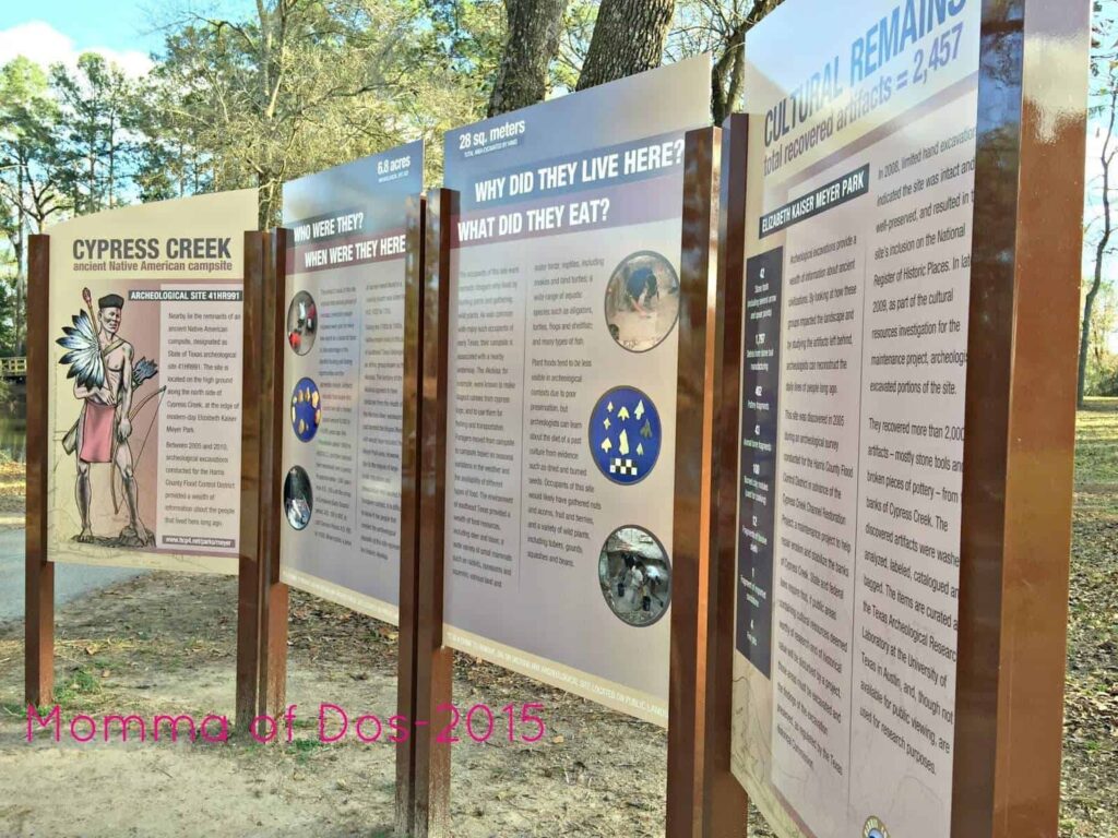 A Guide to Meyer Park - Where Nature and Adventure Await