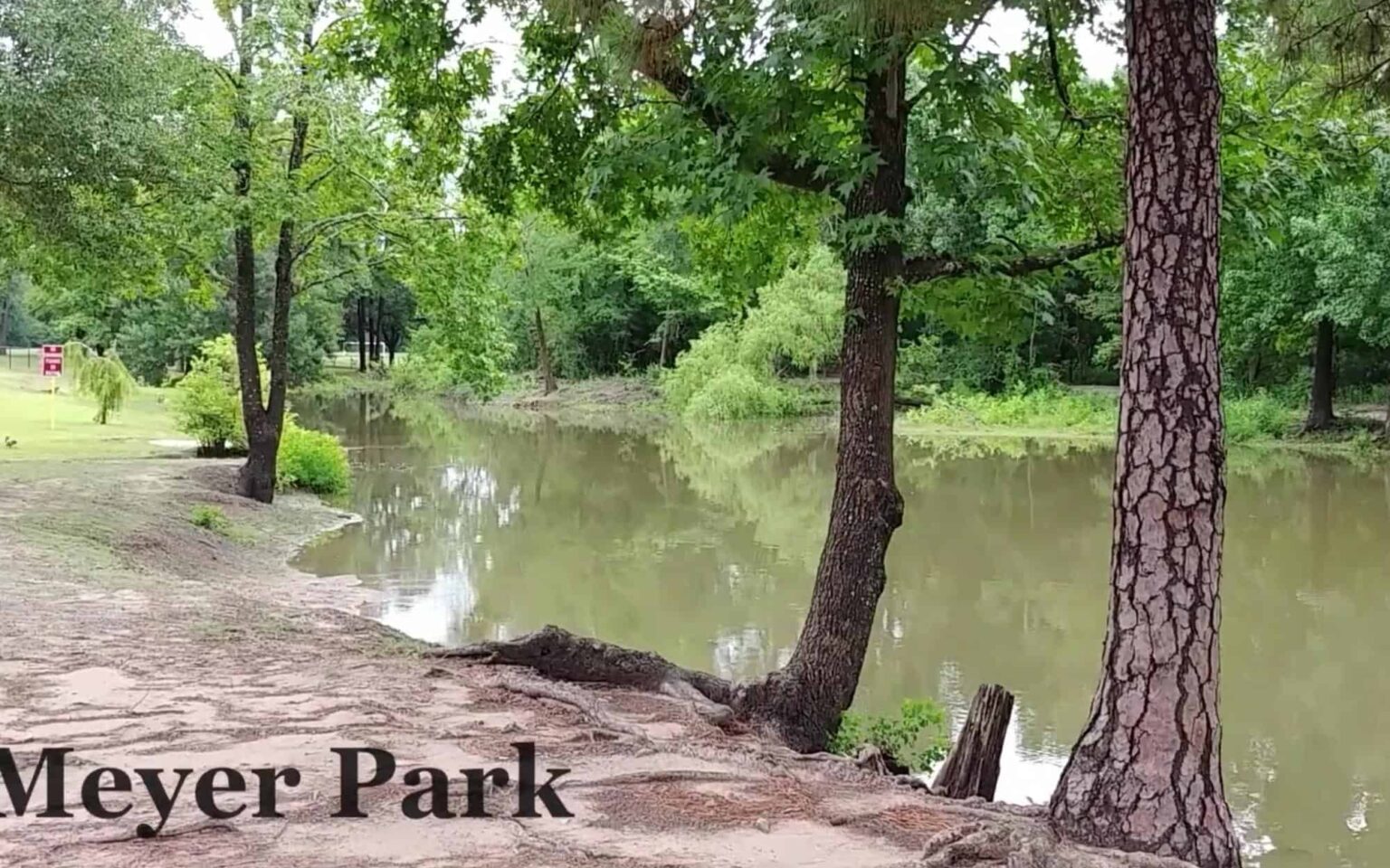 A Guide to Meyer Park - Where Nature and Adventure Await