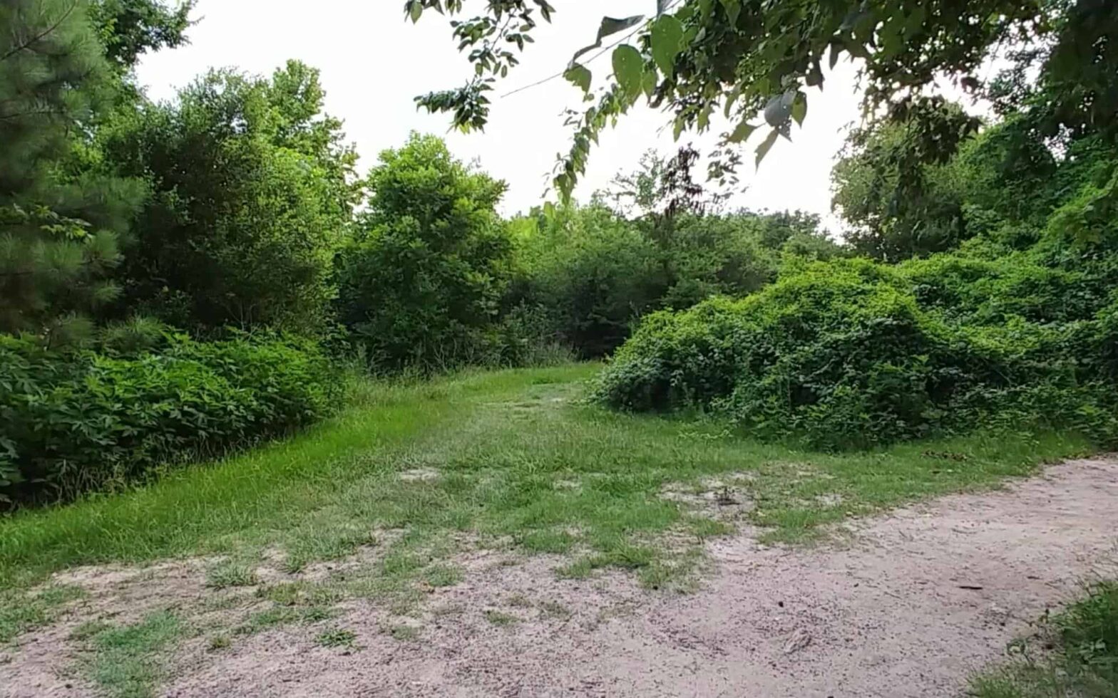 A Guide to Meyer Park - Where Nature and Adventure Await