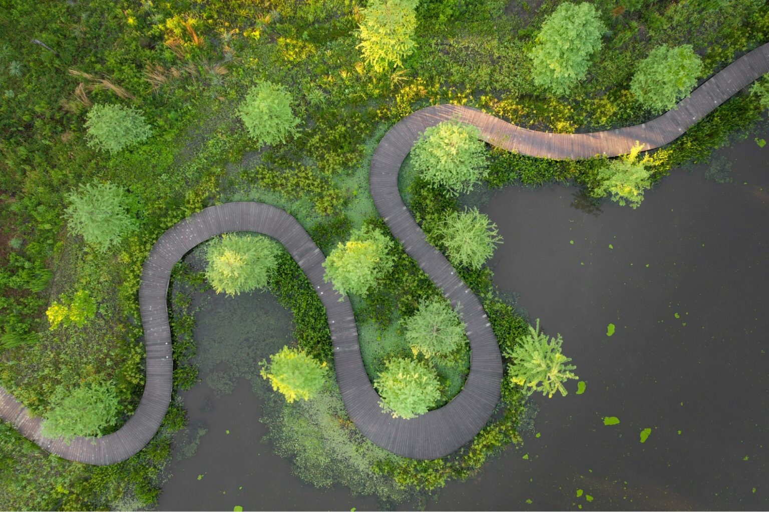 All You Need to Know about the Houston Arboretum & Nature Center