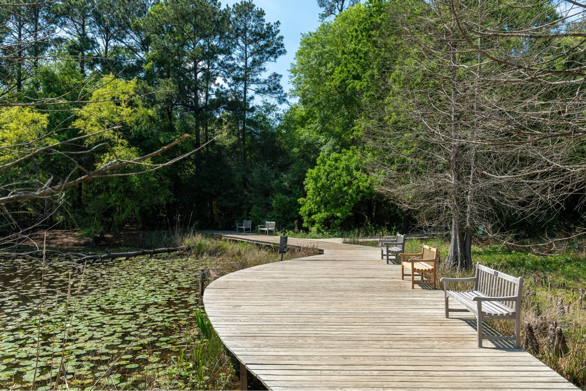 All You Need to Know about the Houston Arboretum & Nature Center