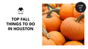 11 Houston Fall Festivals That’ll “Leaf” You Wanting More